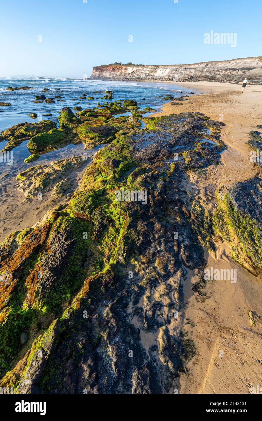 Algae on littoral low hi-res stock photography and images - Alamy