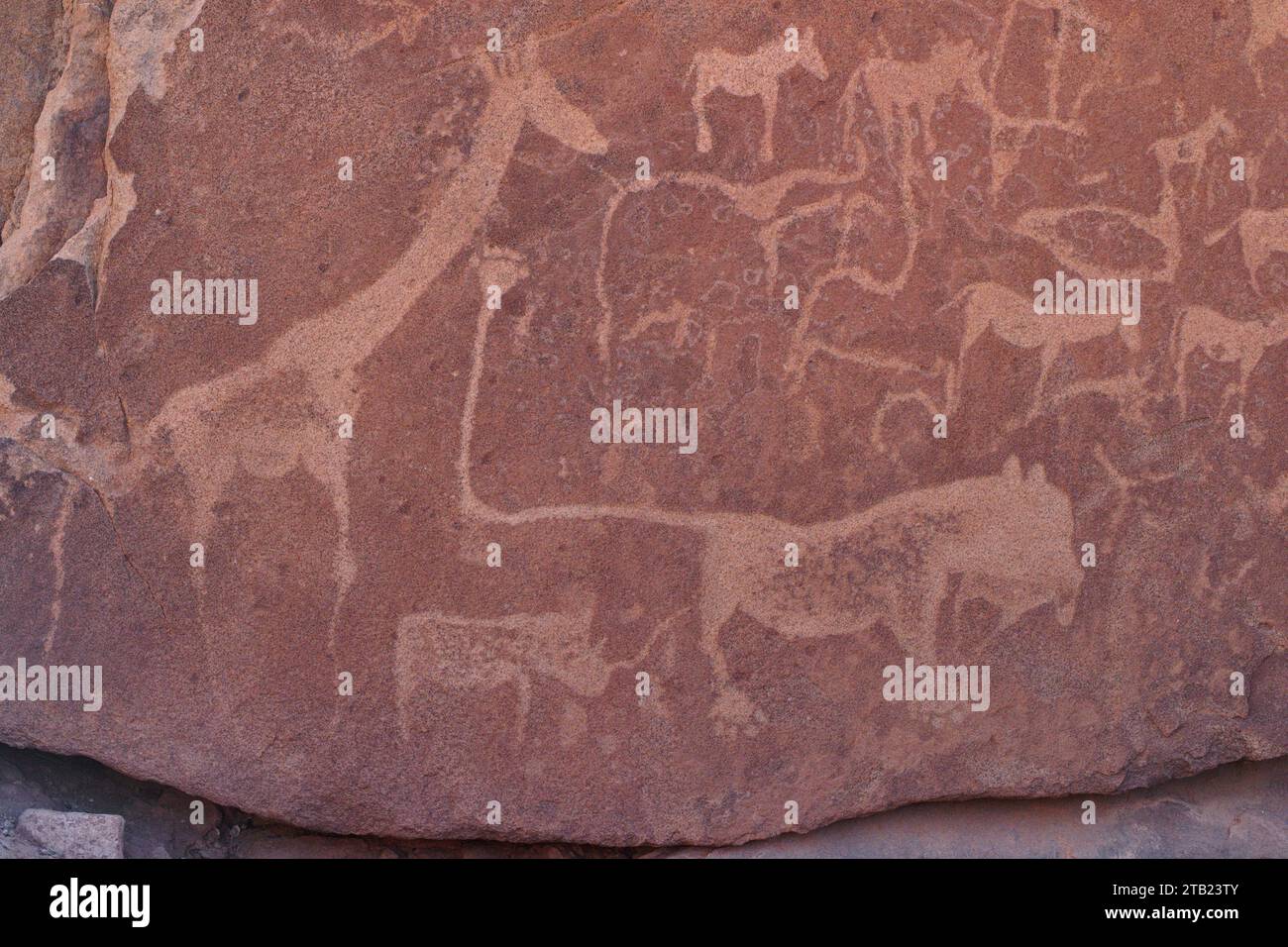 Rock engravings near Twyfelfontein Namibia Stock Photo - Alamy