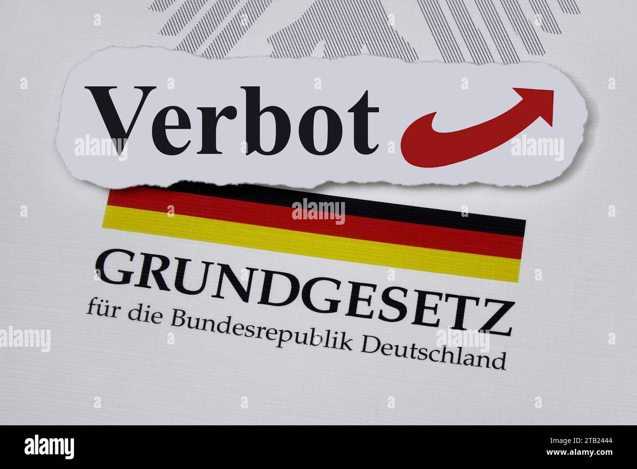 AfD-Verbot AfD-Verbot, 04.12.2023, Borkwalde, Brandenburg, Der ...