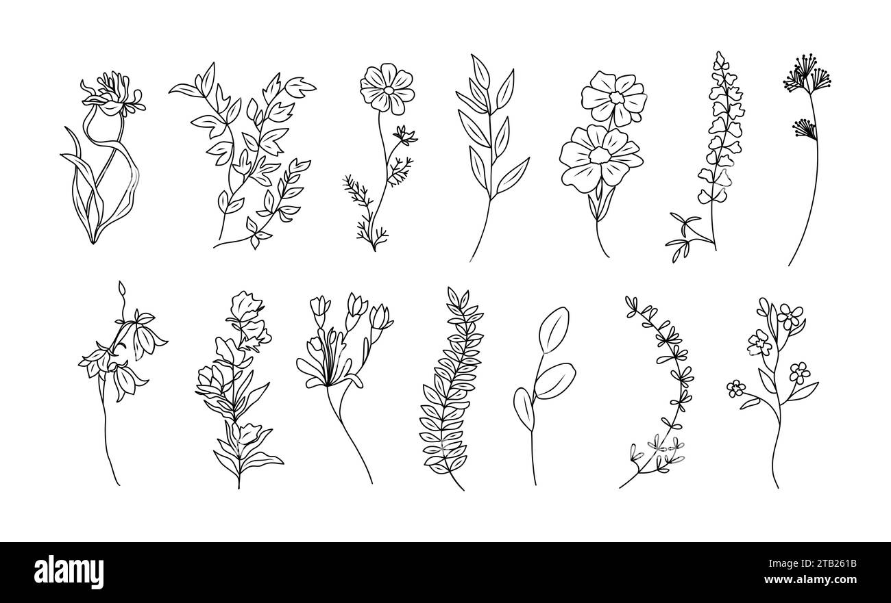 Set of tiny wild flowers, plants line art vector Stock Vector Image ...