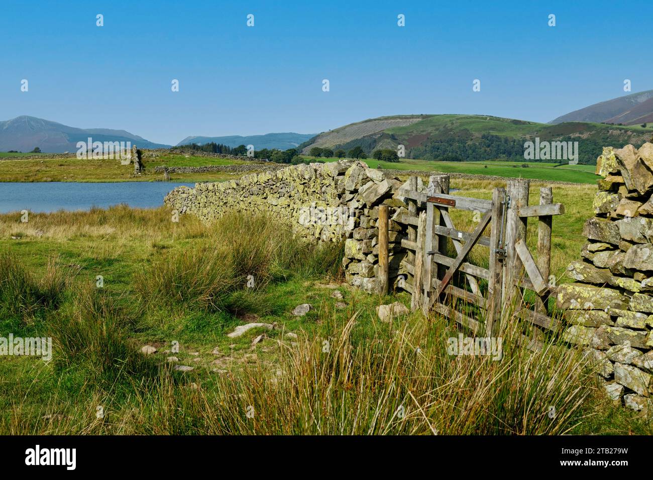 Dry stone wall walling wooden farm gate near to Tewet Tarn Lake ...