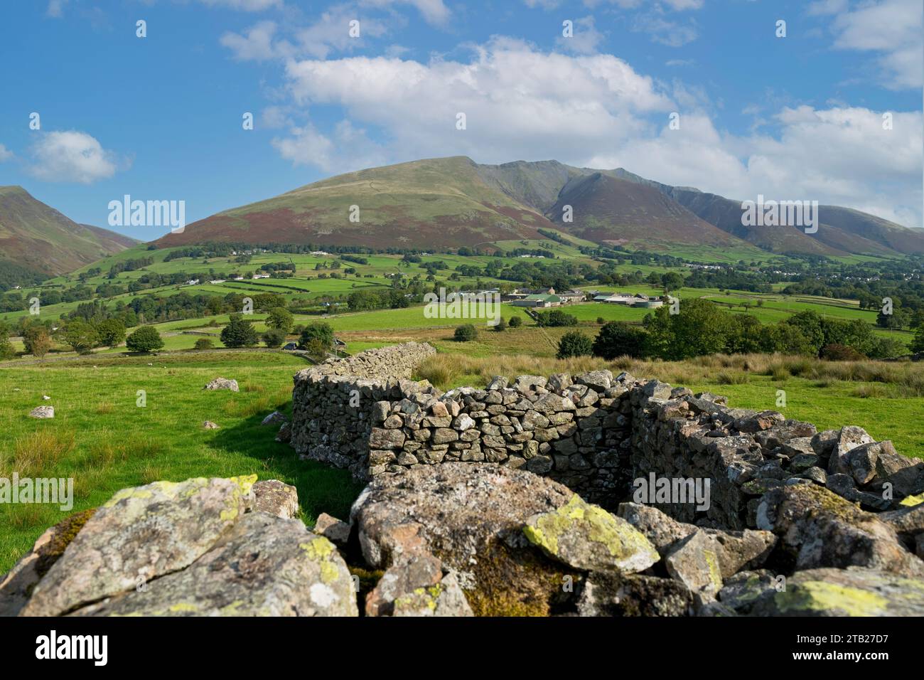 Dry stone walls walling on farmland countryside and Blencathra in ...