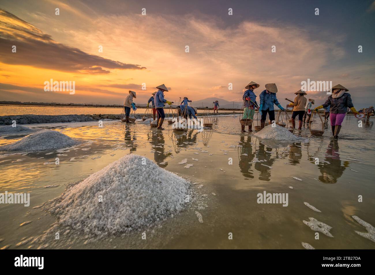 harvest the salt in salt field Stock Photo - Alamy
