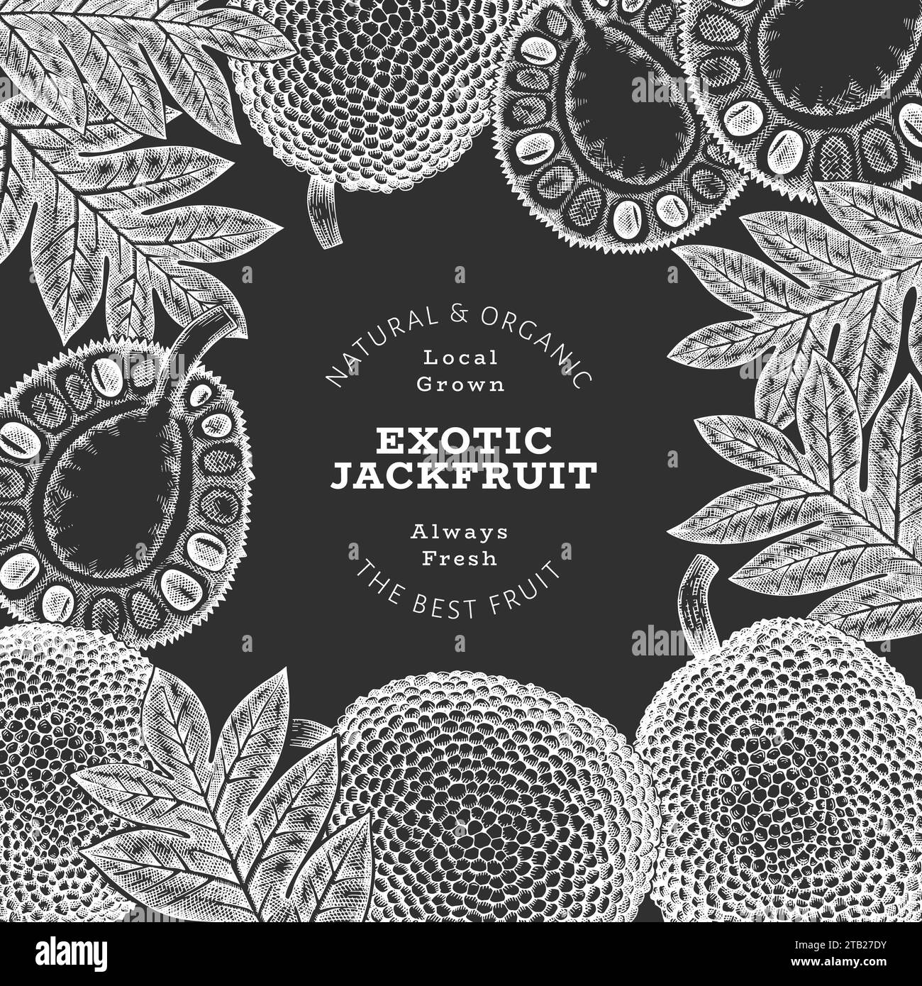 Hand drawn sketch style jackfruit banner. Organic fresh fruit vector ...