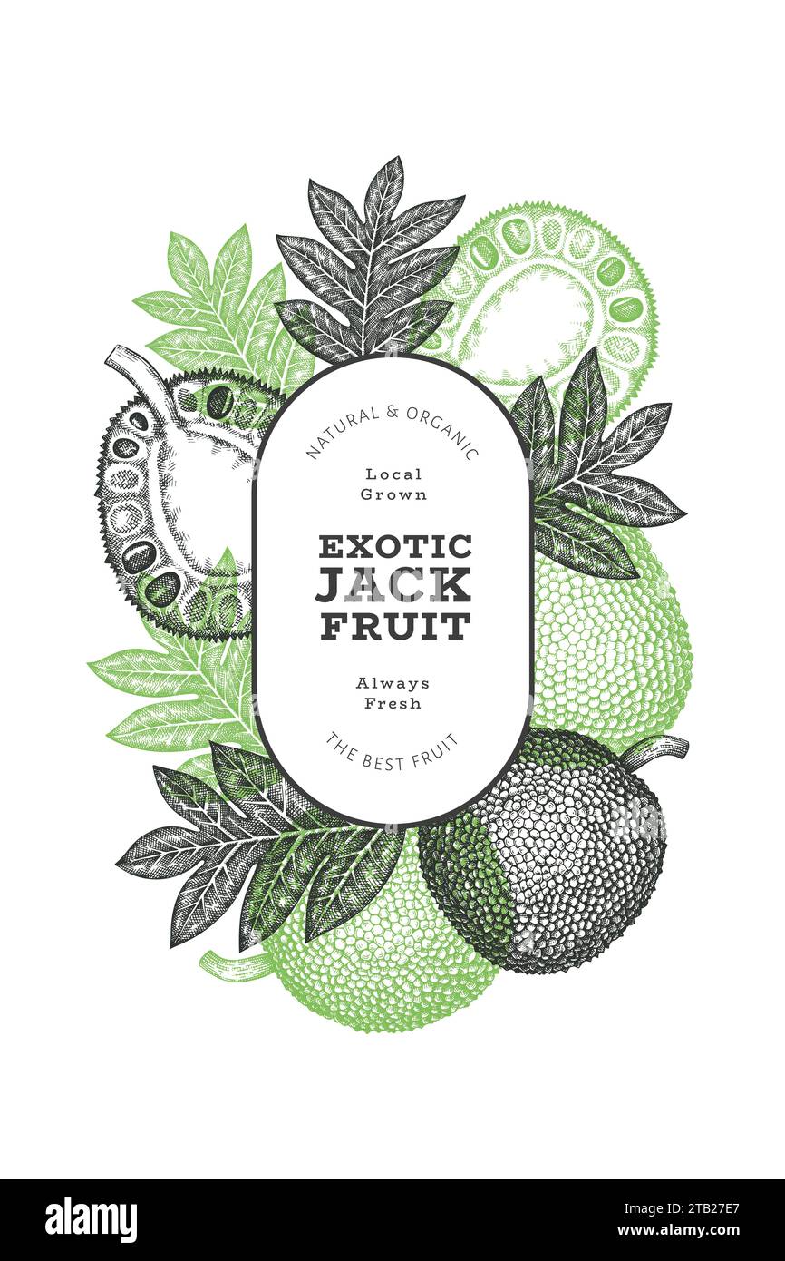 Hand drawn sketch style jackfruit banner. Organic fresh fruit vector ...