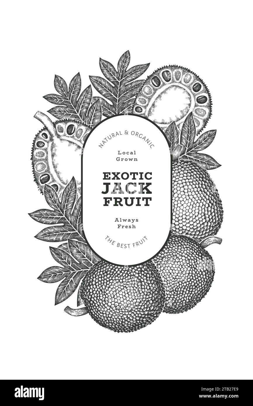 Hand drawn sketch style jackfruit banner. Organic fresh fruit vector ...