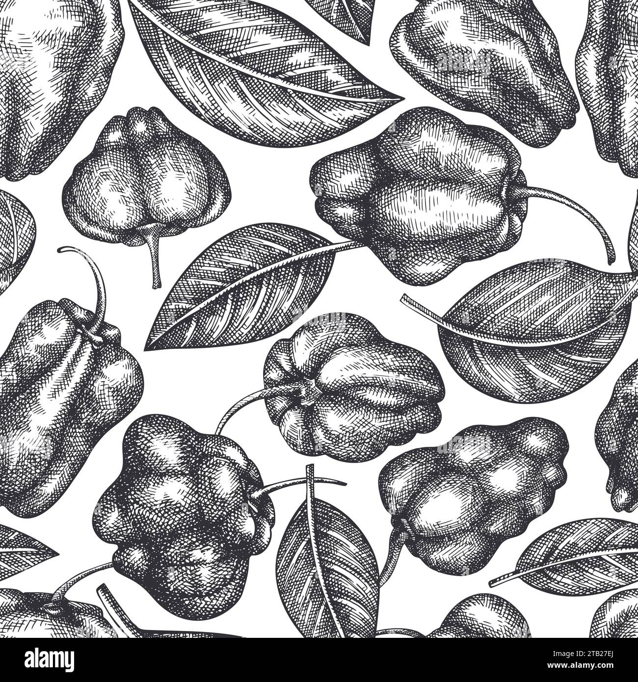 Hand drawn sketch style scotch bonnet pepper seamless pattern. Organic ...