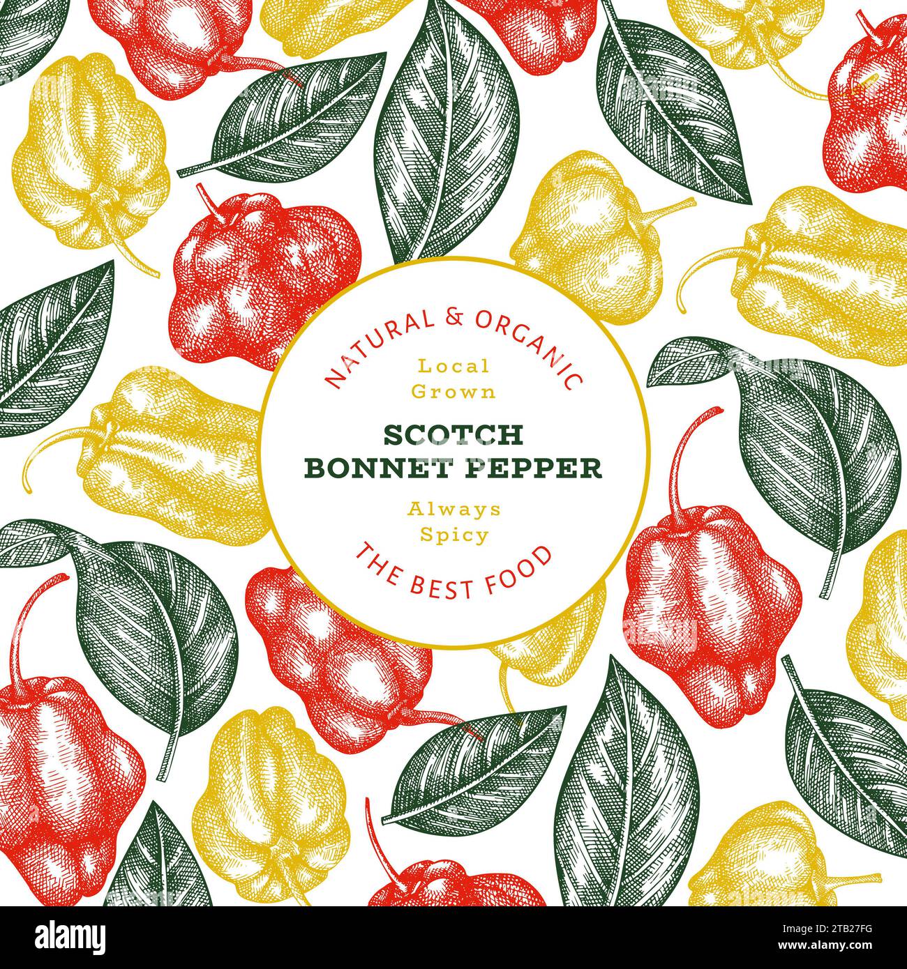 Hand drawn sketch style scotch bonnet pepper banner. Organic fresh ...