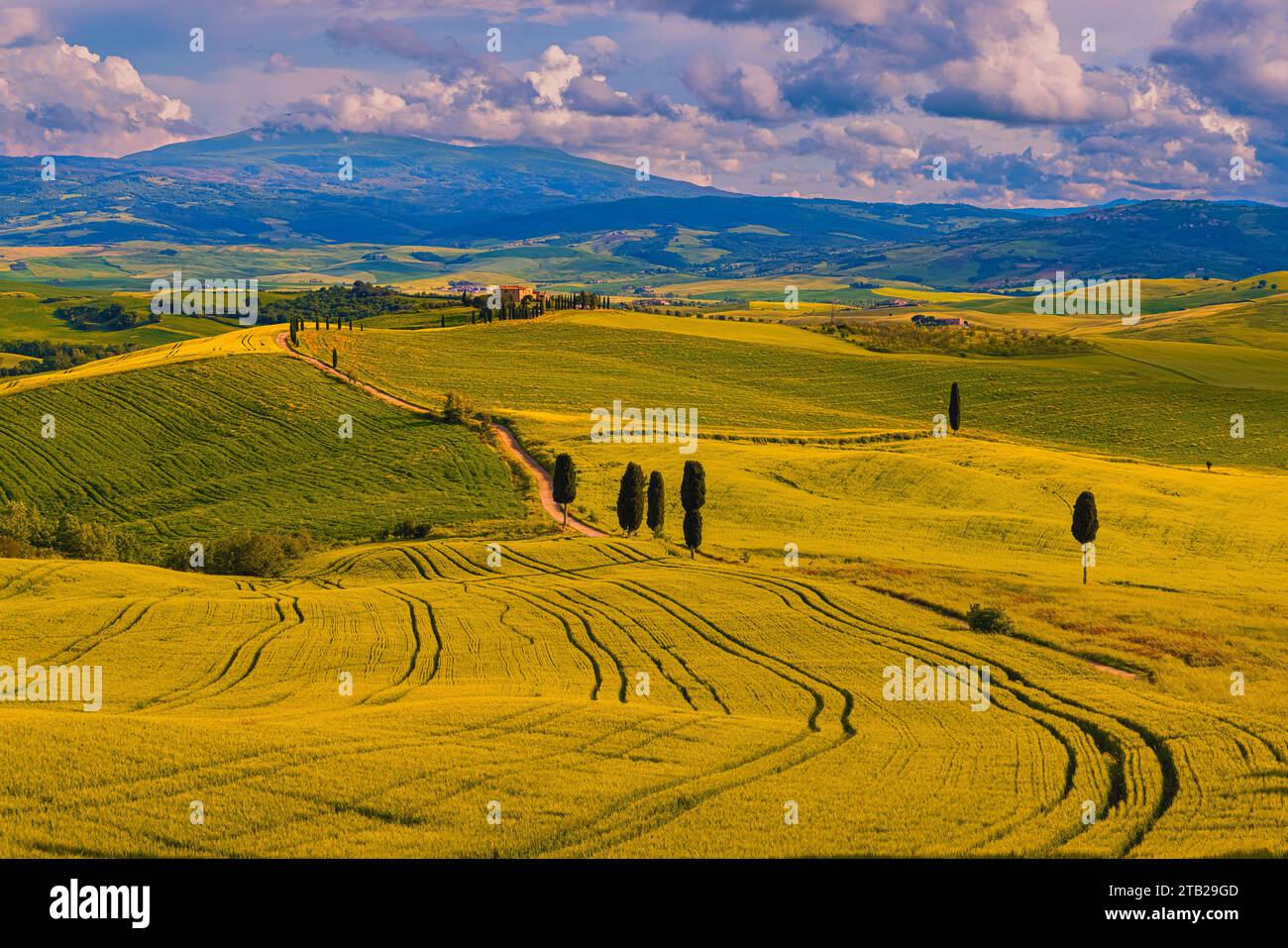 Gladiator movie scene hi-res stock photography and images - Alamy