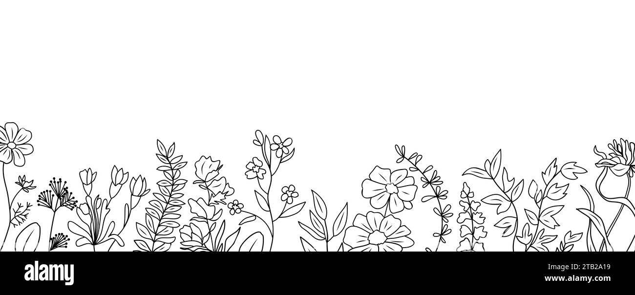 Wild blooming meadow flowers and herbs border Stock Vector Image & Art ...