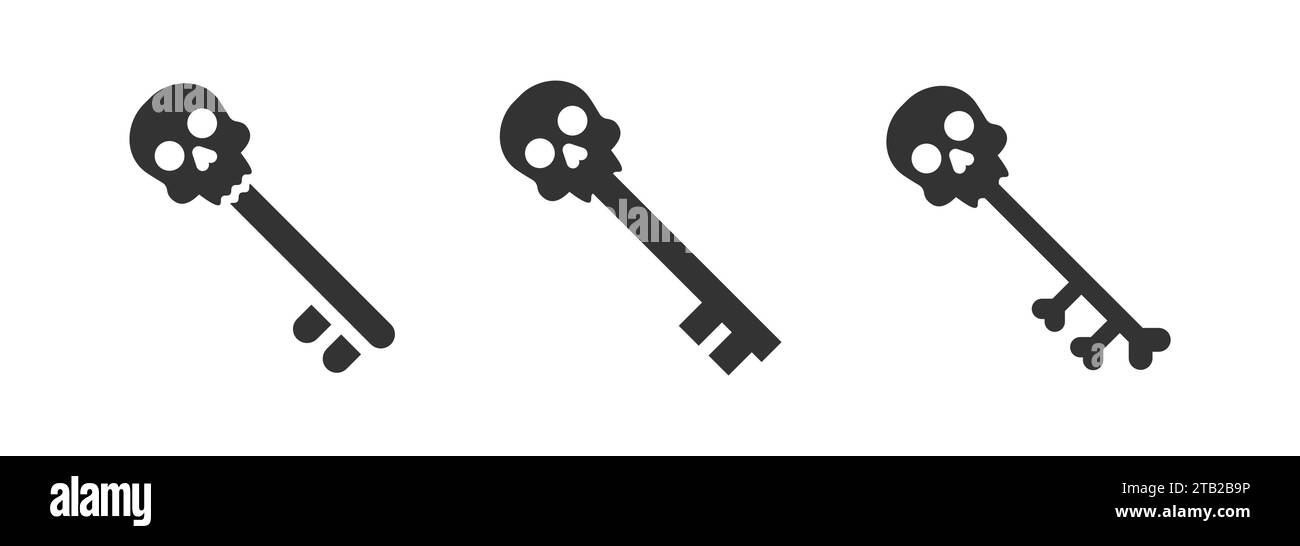 Skull key icon. Flat vector illustration Stock Vector Image & Art - Alamy