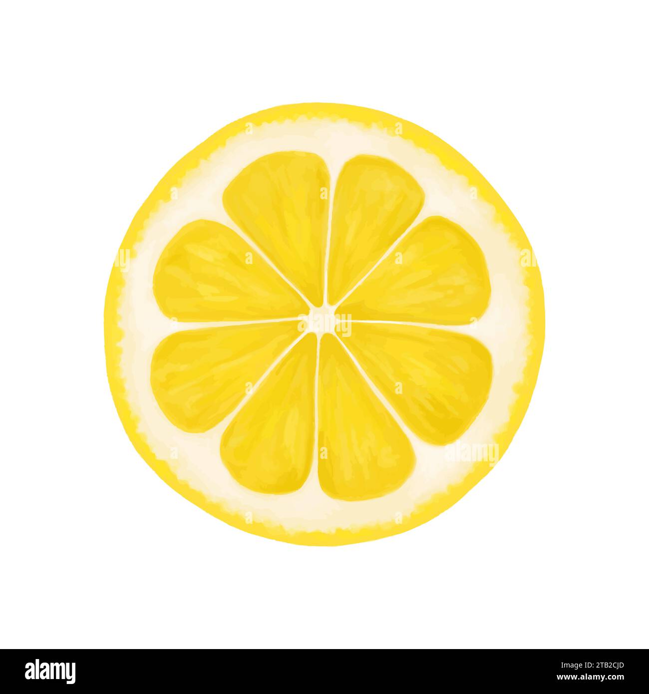Lemon round slice. Vector realistic illustration isolated on white ...