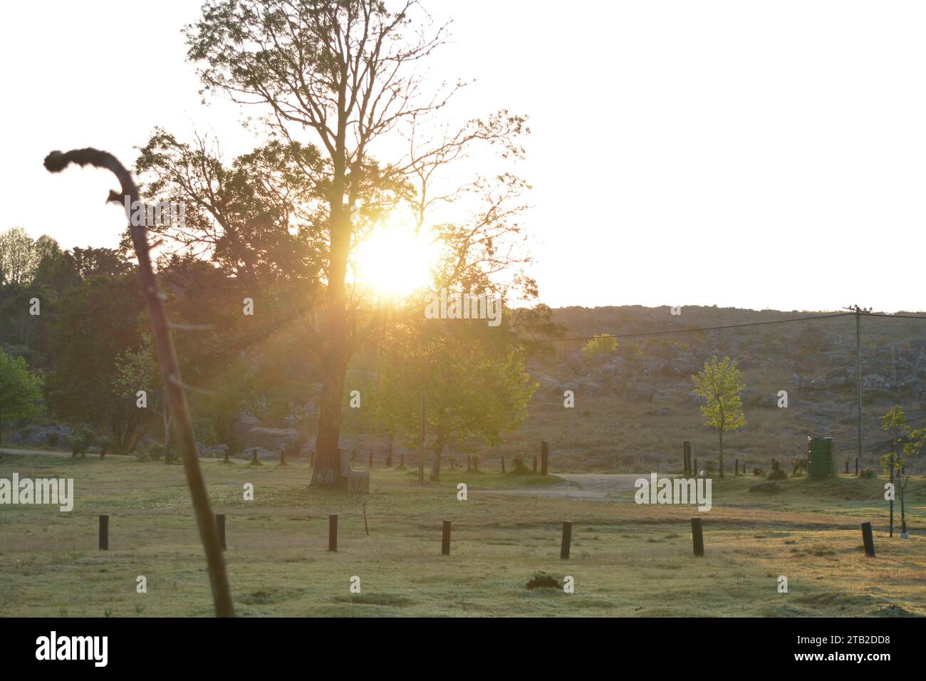 Synrise in the Lowveld of South Africa Stock Photo - Alamy