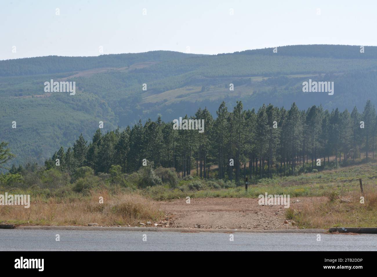 South africa https hi-res stock photography and images - Alamy