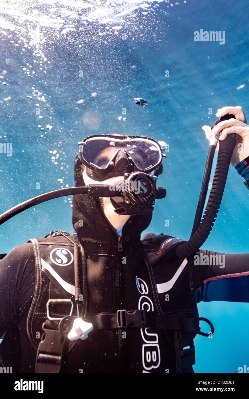 Female scuba diver exploring underwater Stock Photo - Alamy