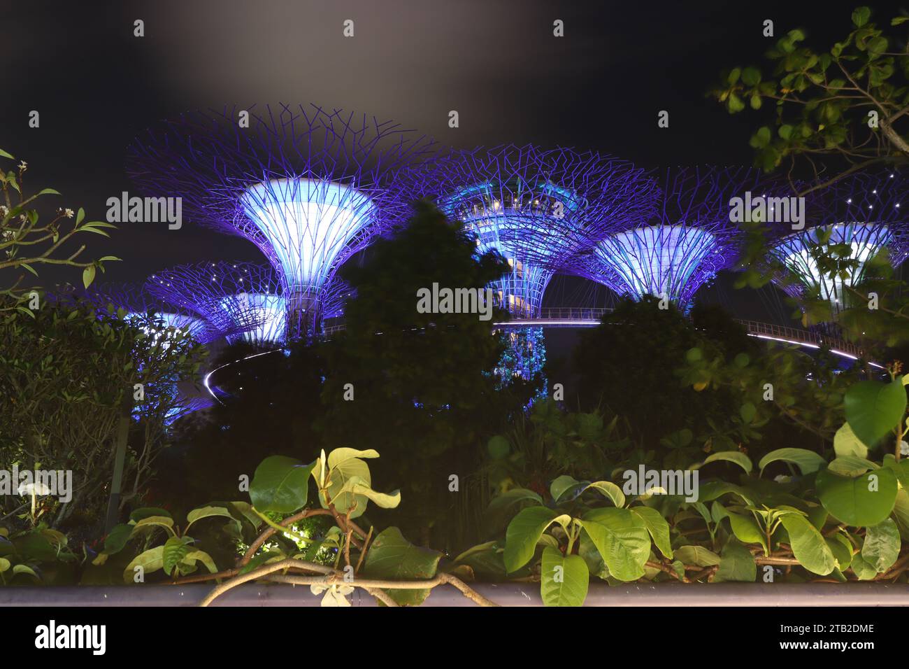 Marina Bay Sands supertrees Stock Photo - Alamy