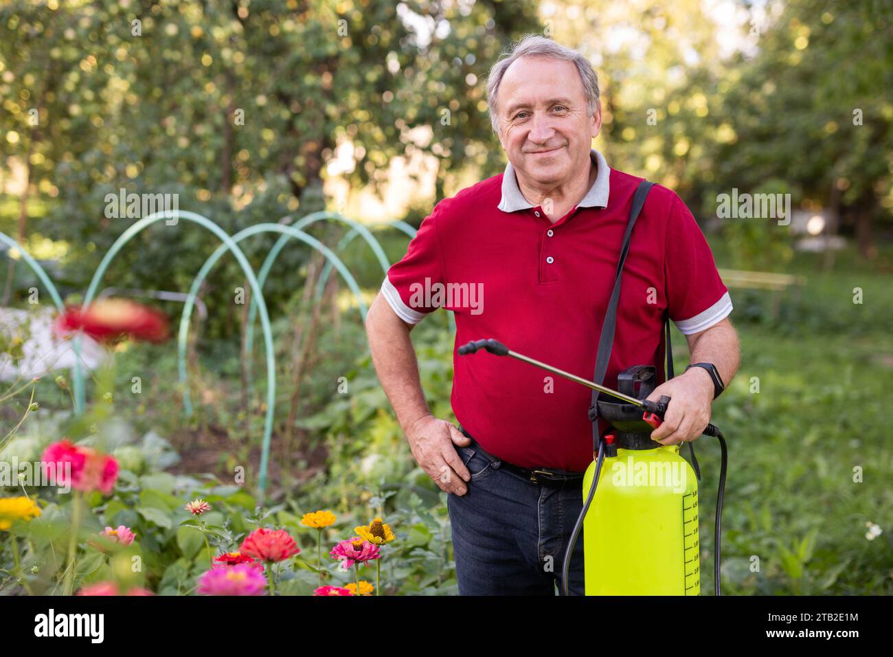 Male farmer spraying his garden with insecticides from spray bottle ...