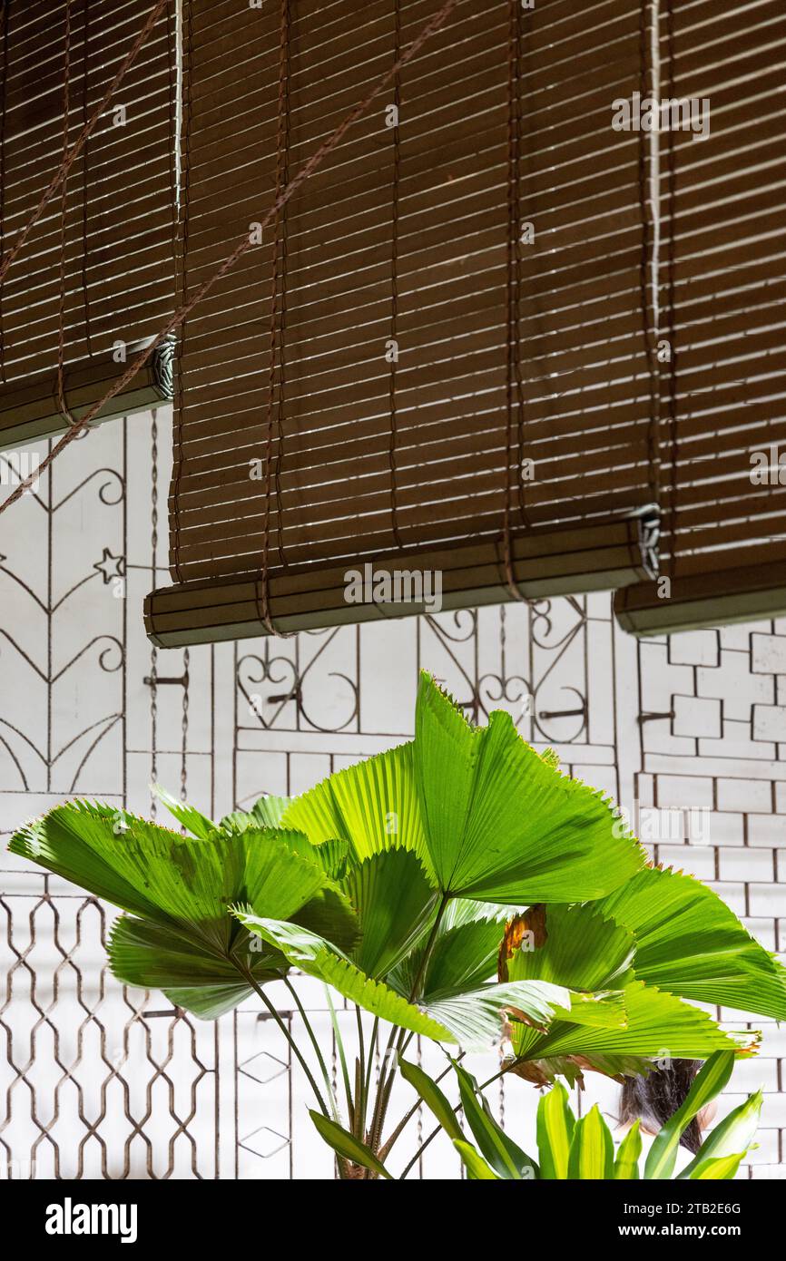 The Daily Fix Cafe Malacca Malaysia Stock Photo - Alamy