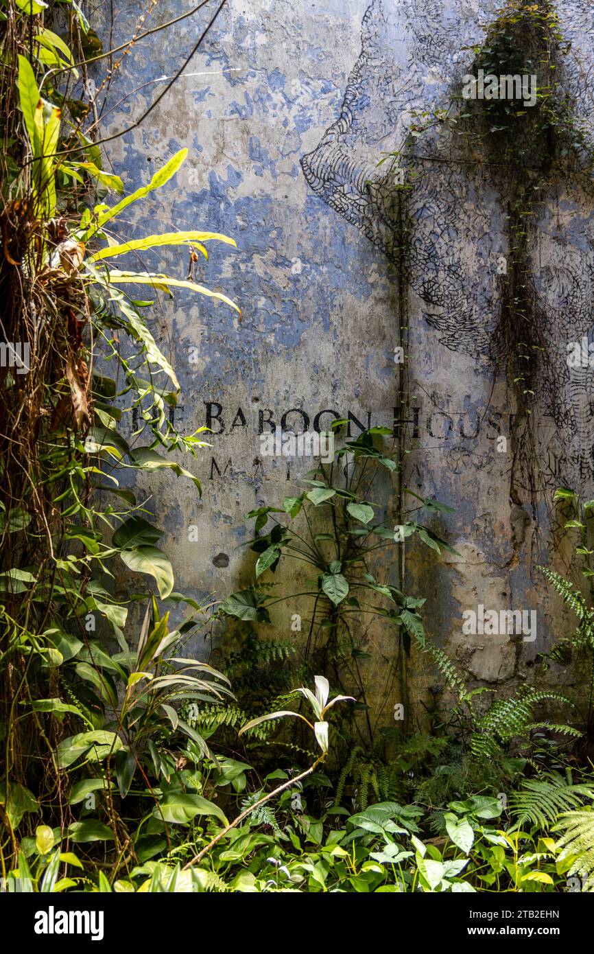 Baboon House Melaka Malaysia Stock Photo - Alamy