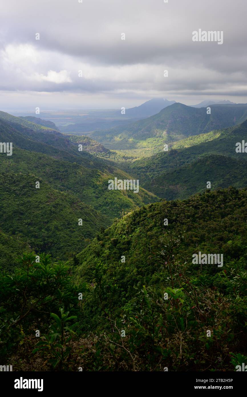 Black River Gorge Viewpoint with Lush Green Rainforest Valley in ...