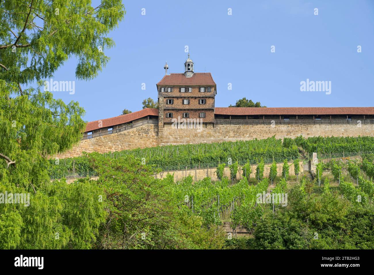 Stadtmauer, Esslinger Burg, Esslingen, Baden-Württemberg, Deutschland ...
