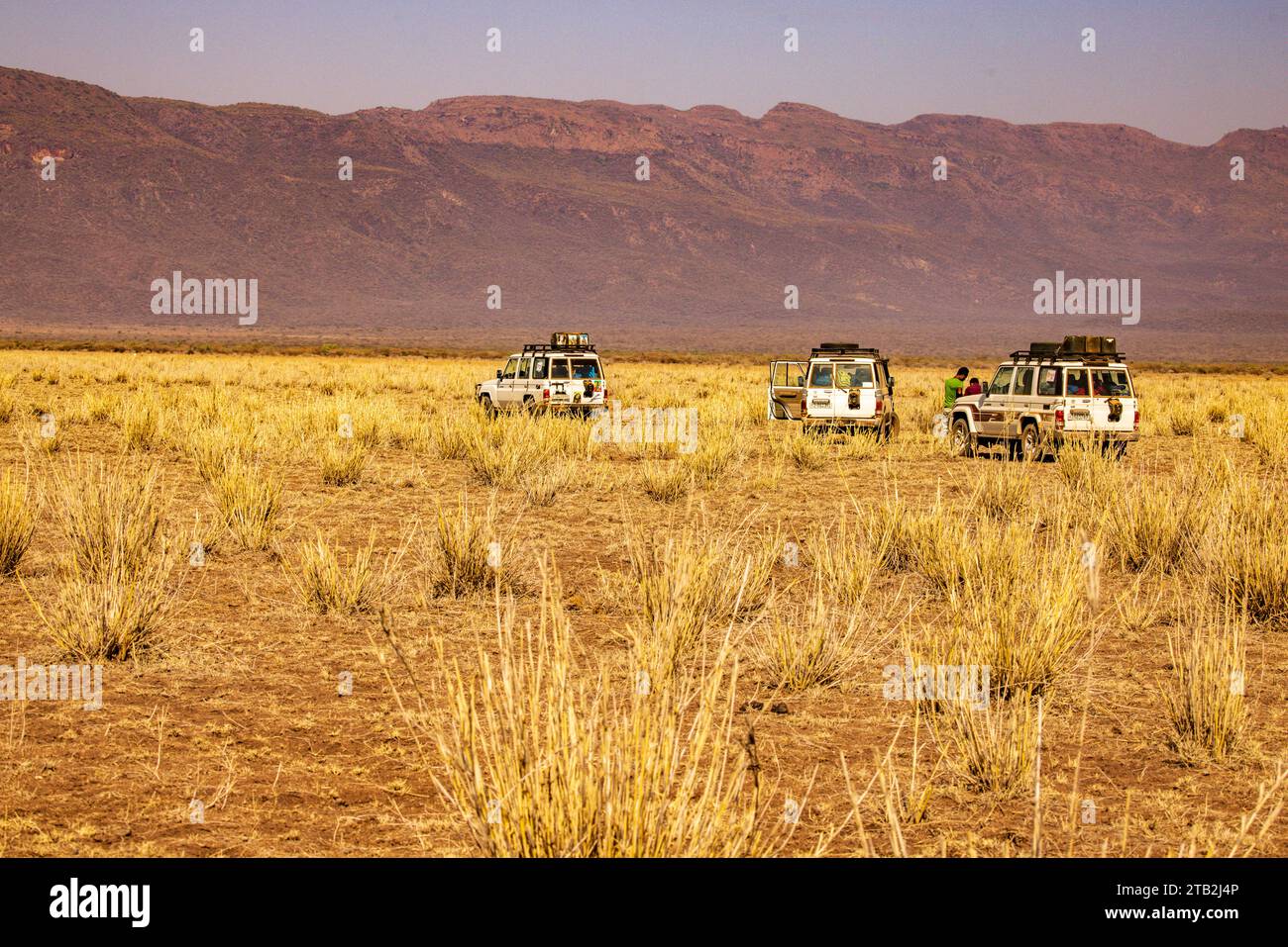 4x4s in the Great Rift Valley, Ethiopia Stock Photo - Alamy