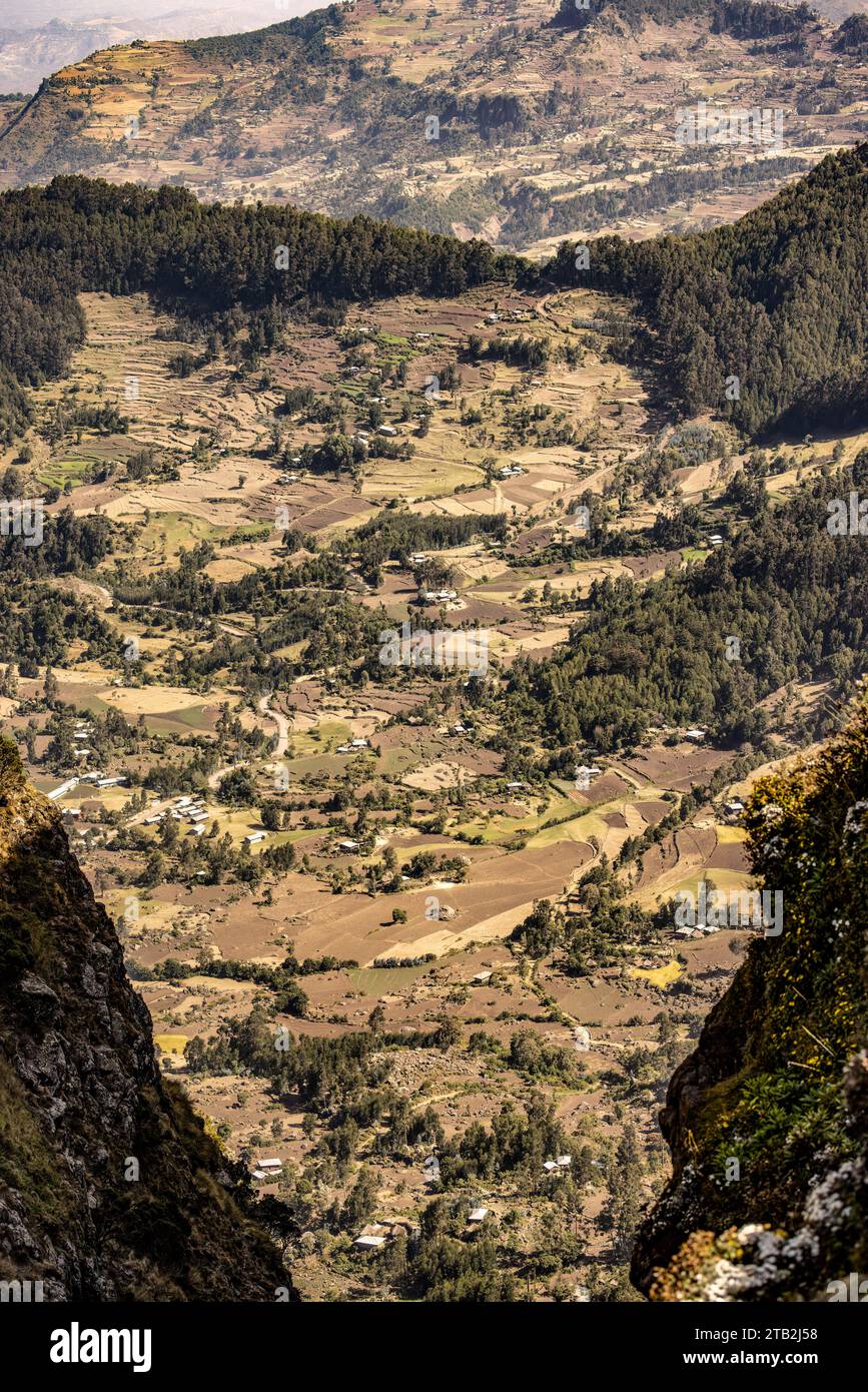 Habitats disappearing hi-res stock photography and images - Alamy