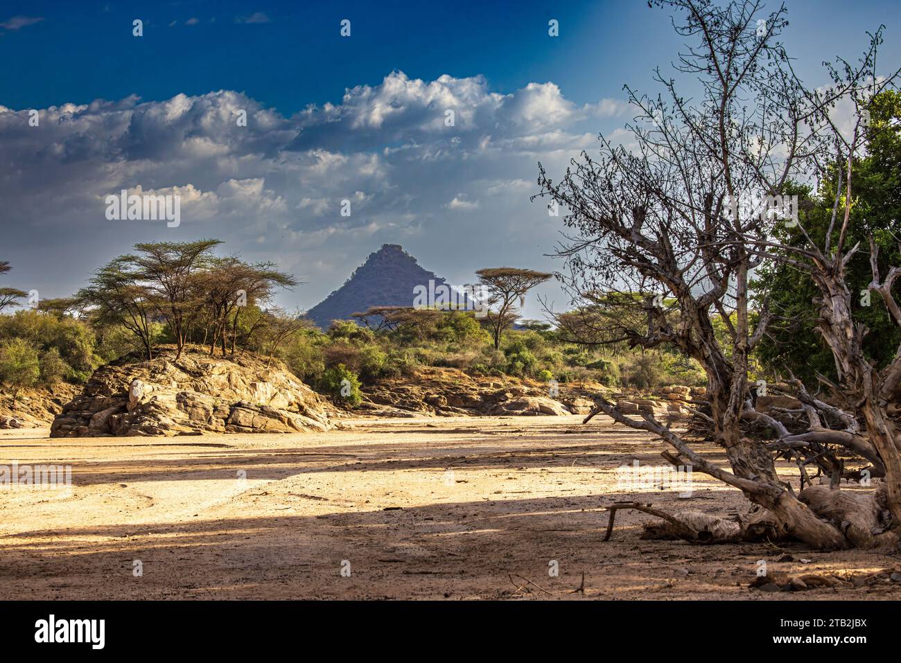 Dry river bed in the OMO Valley Stock Photo - Alamy