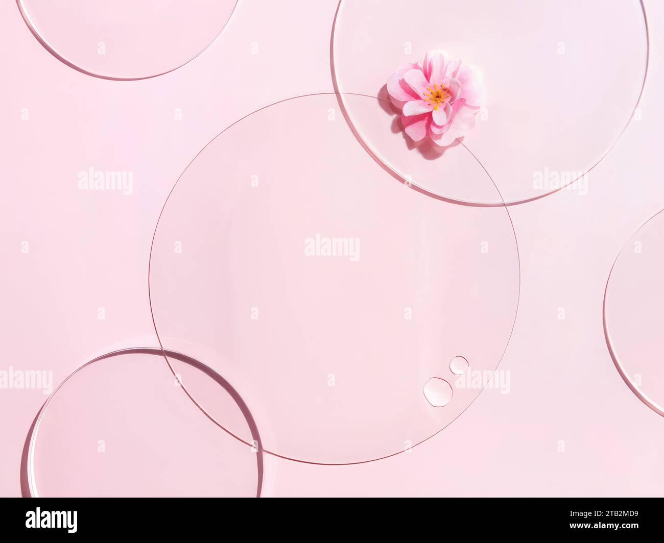 Product promotion backgrounds, Product display backdrop, Clean product ...