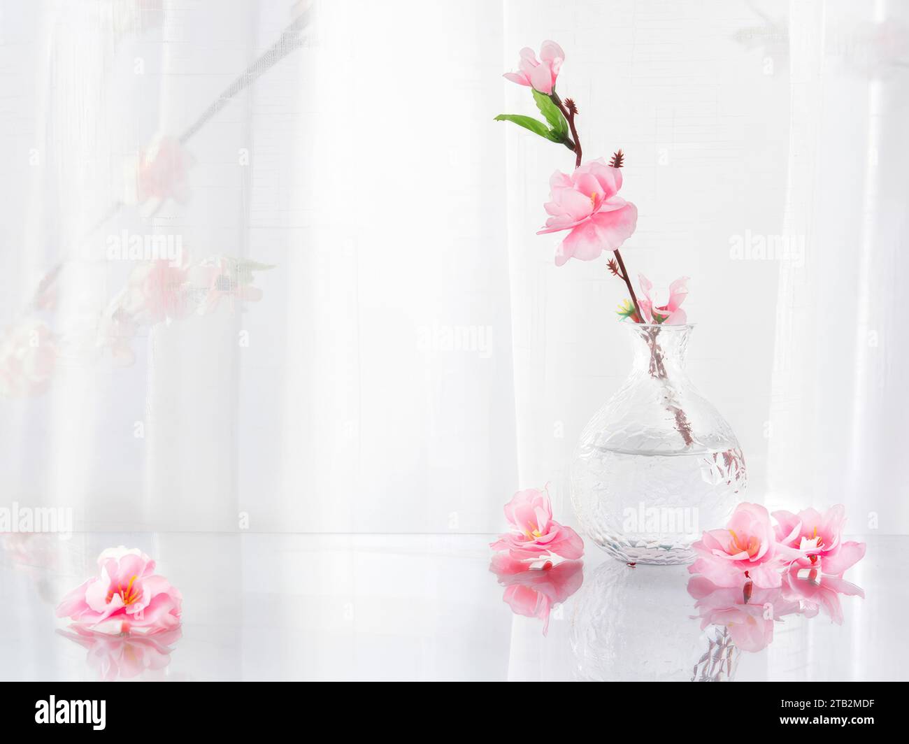 Product promotion backgrounds, Product display backdrop, Clean product ...