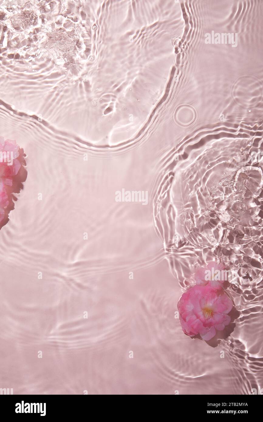 Product promotion backgrounds, Product display backdrop, Clean product ...