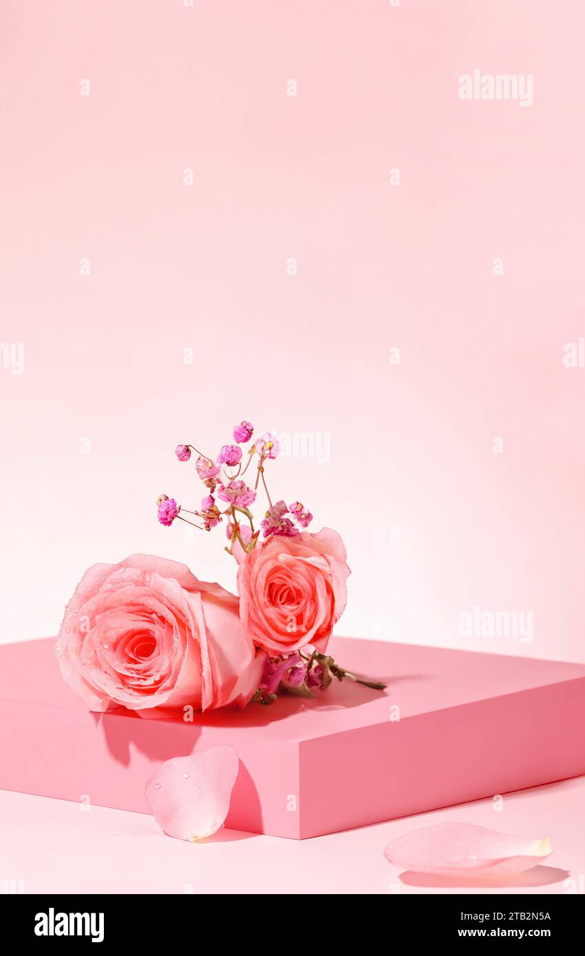 Product promotion backgrounds, Product display backdrop, Clean product ...