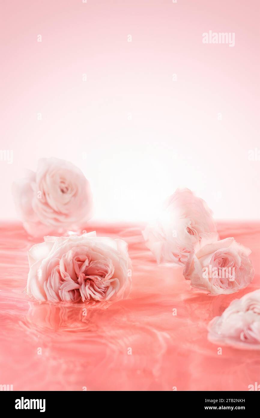 Product promotion backgrounds, Product display backdrop, Clean product ...