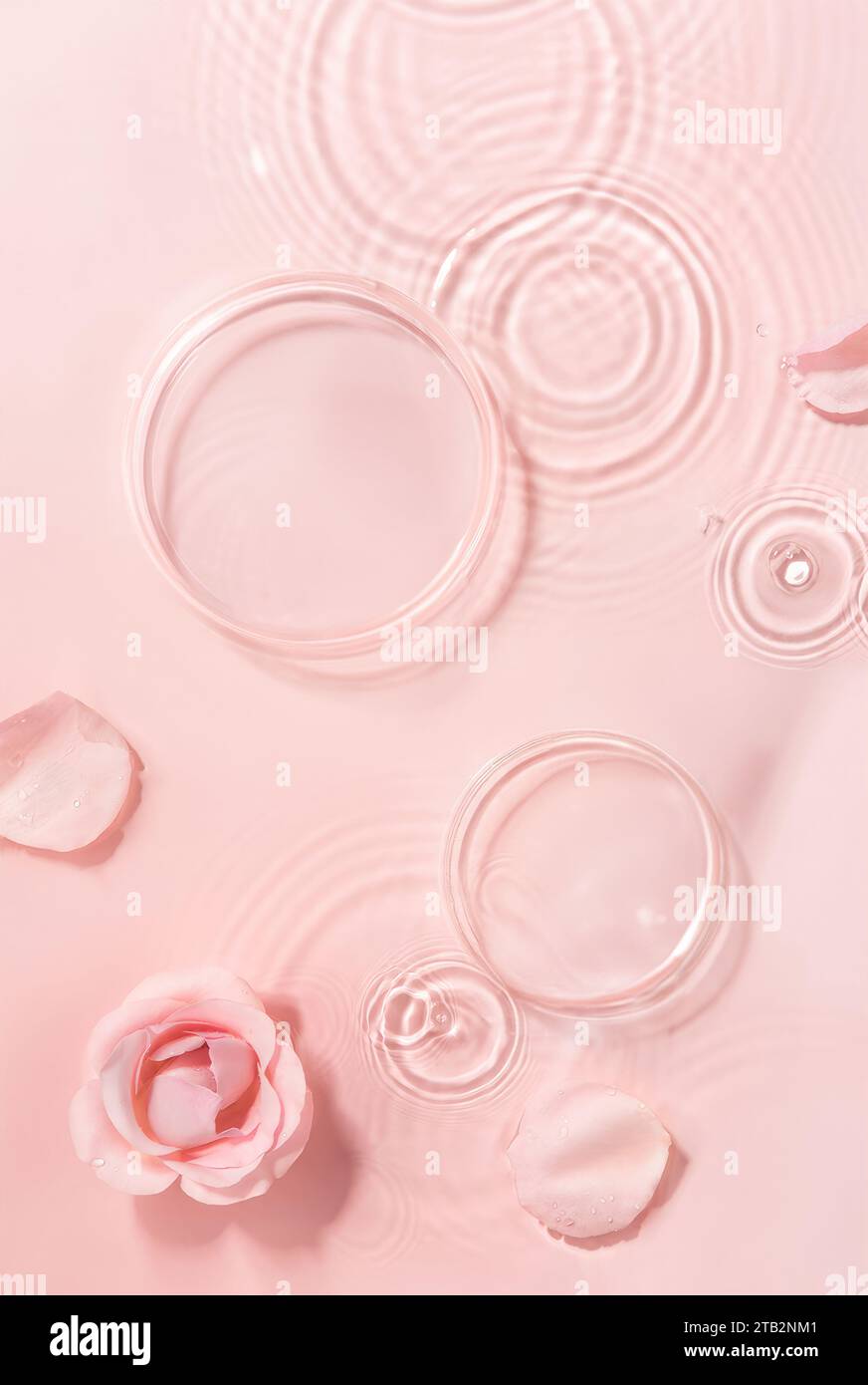 Product promotion backgrounds, Product display backdrop, Clean product ...