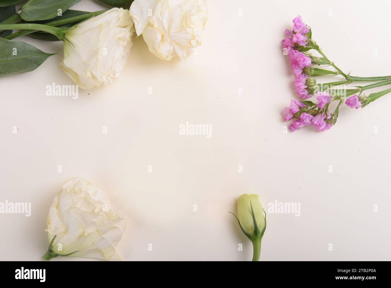 Product promotion backgrounds, Product display backdrop, Clean product ...