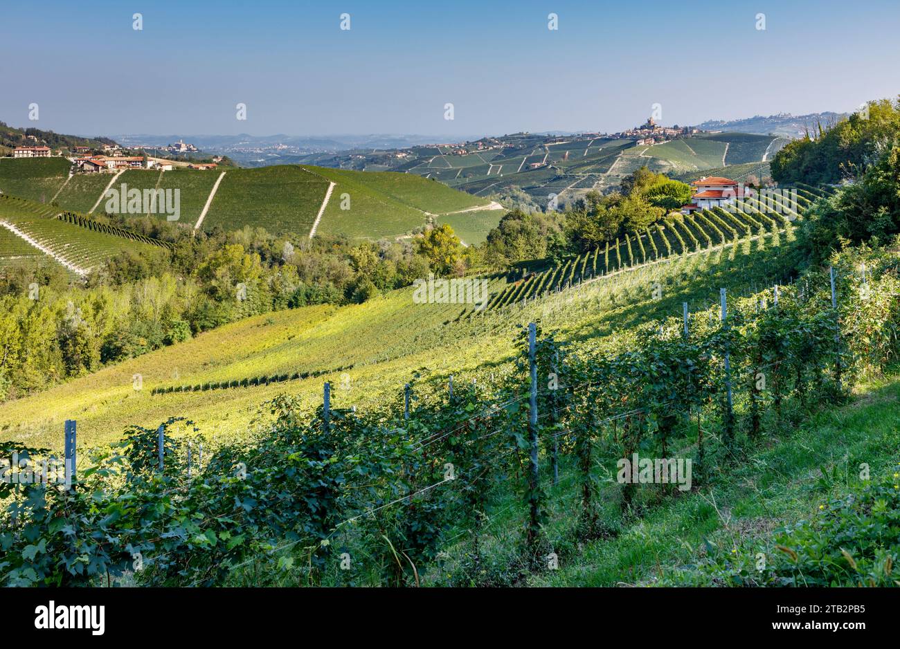 Vineyards, villages and castles in the Langhe region (Piedmont, Italy ...