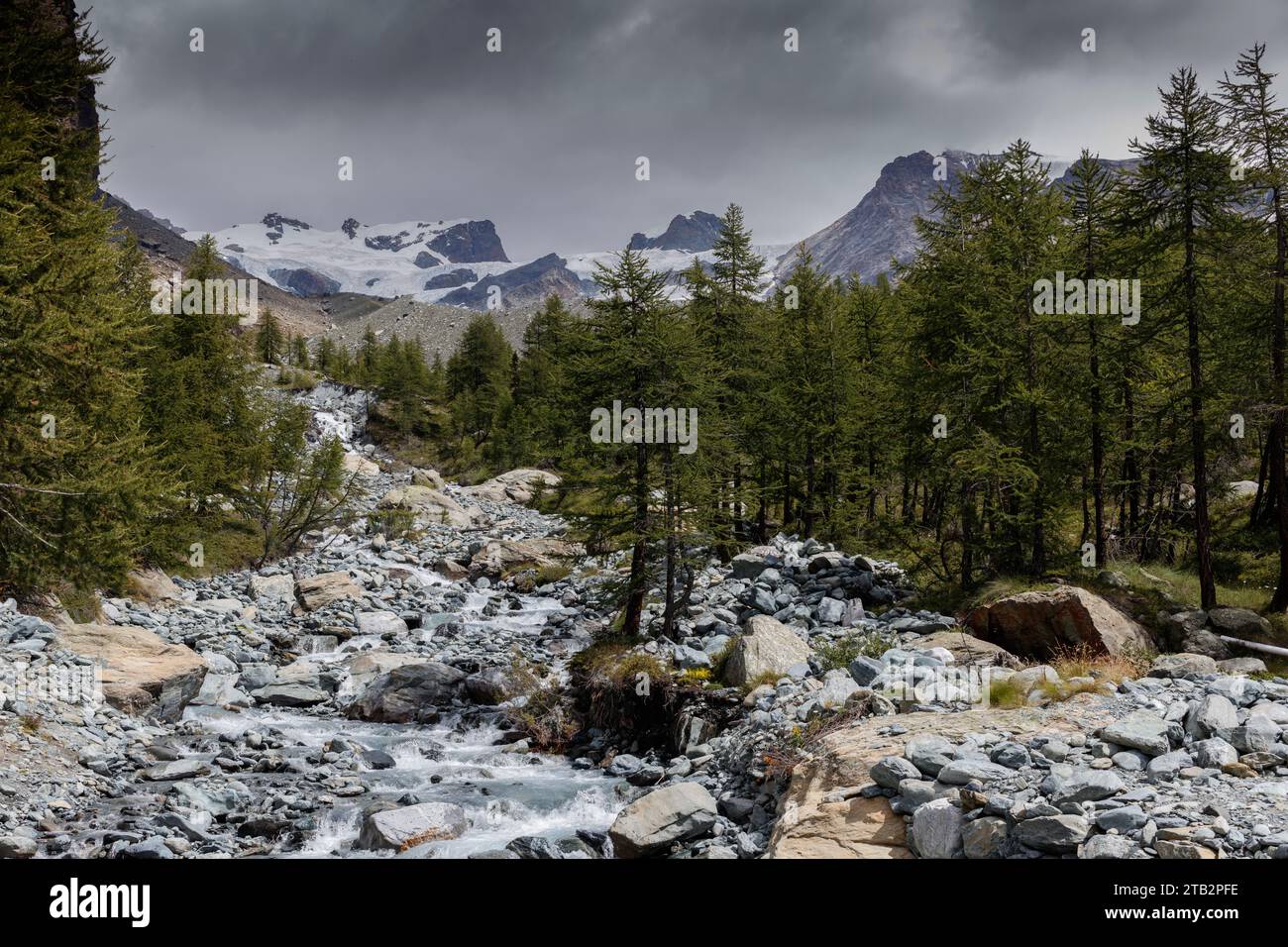 Mountain stream in the Vallée d'Ayas (Aosta Valley, Italy). In the ...