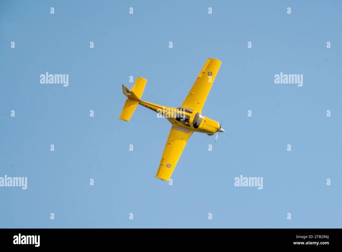 T 67 firefly hi-res stock photography and images - Alamy
