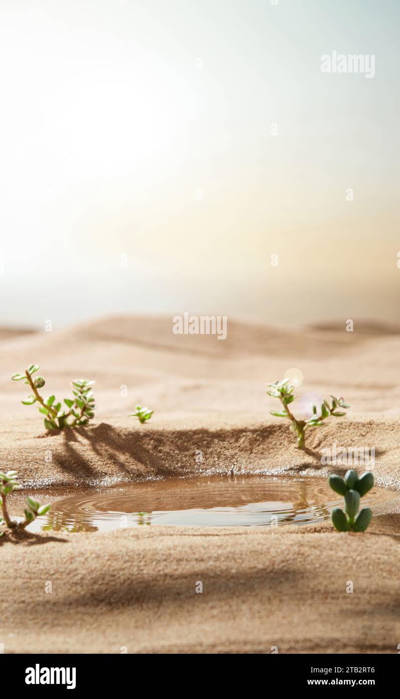 Product advertising backdrops, E-commerce product backdrop ...