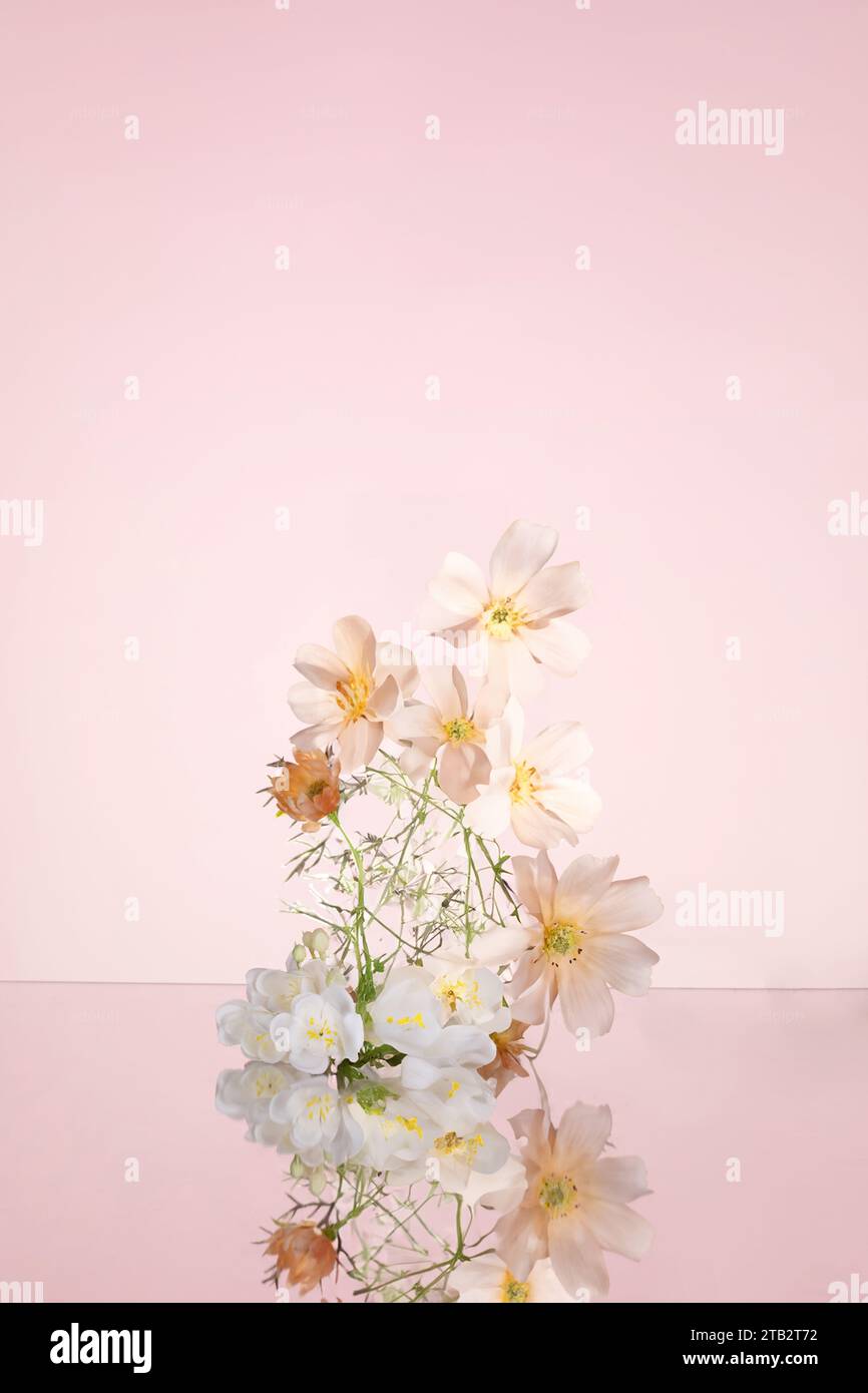 Product advertising backdrops, E-commerce product backdrop ...