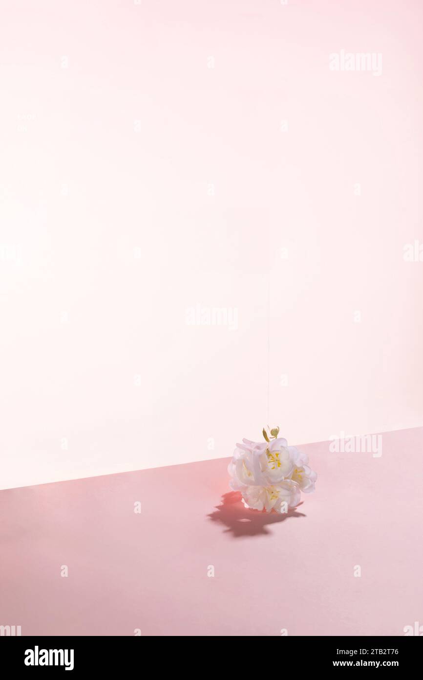 Product advertising backdrops, E-commerce product backdrop ...