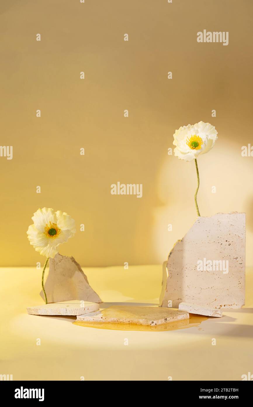 Product advertising backdrops, E-commerce product backdrop ...