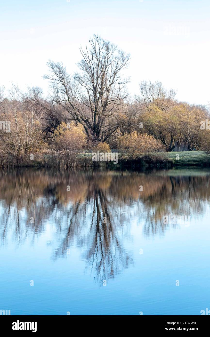 Winter secene of a lake with decidiouse trees reflecting in the still ...