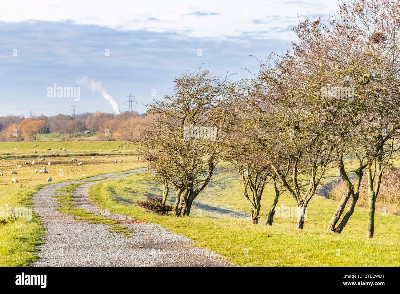 Winding track on the Washlands, Northampton, England, UK Stock Photo ...