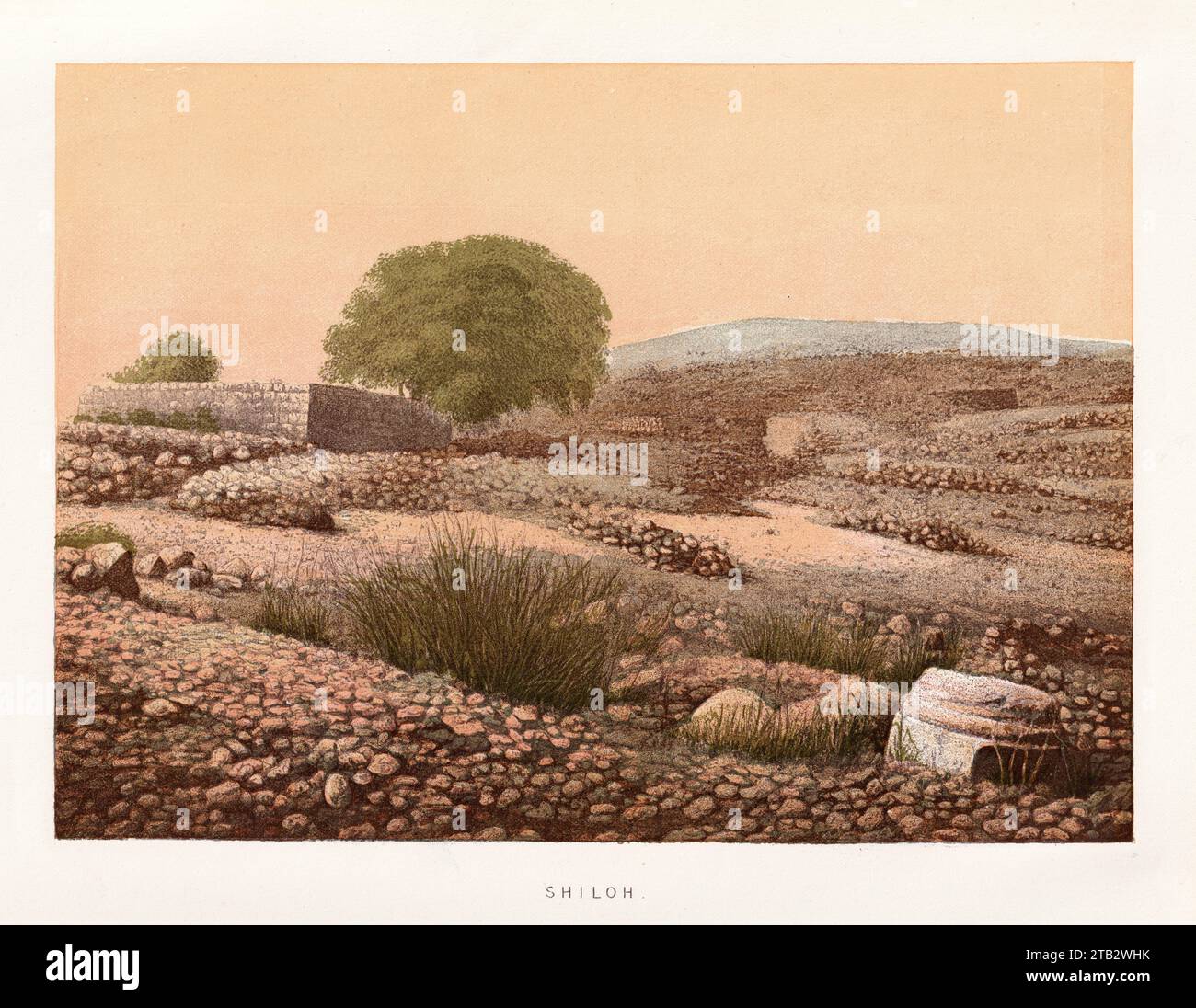Colour illustration of Shiloh - an ancient city and sanctuary in ...