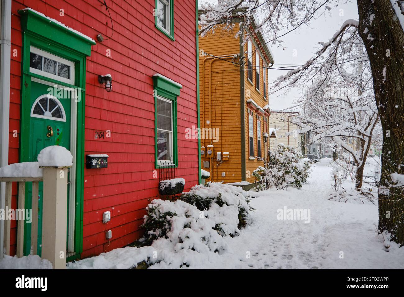 Halifax City Winter
