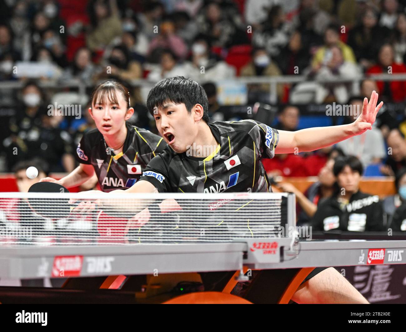 Chengdu, China's Sichuan Province. 4th Dec, 2023. Hayata Hina/Harimoto ...