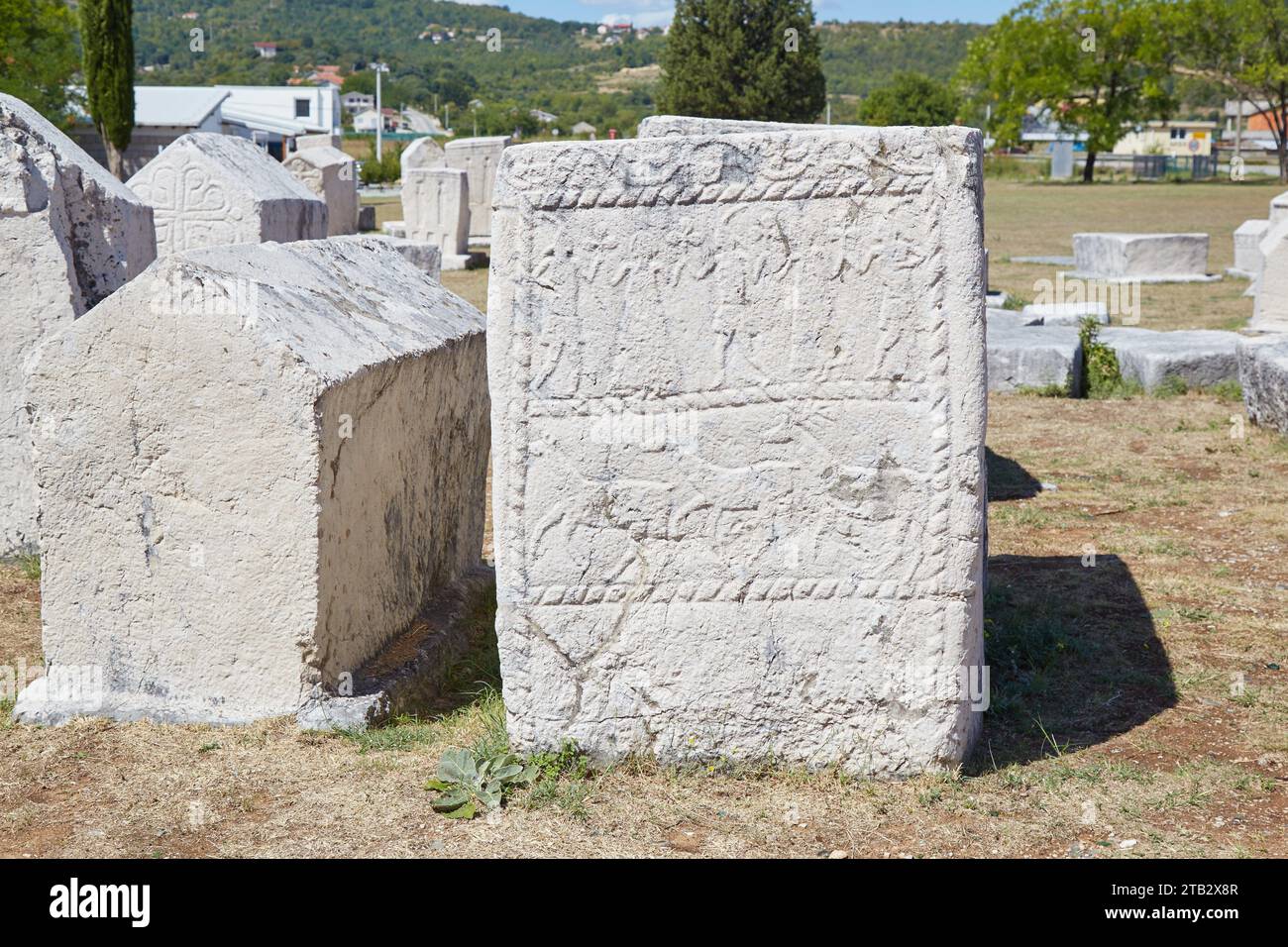 The Radimlja Necropolis is home to 135 unique stecci tombstones dating ...