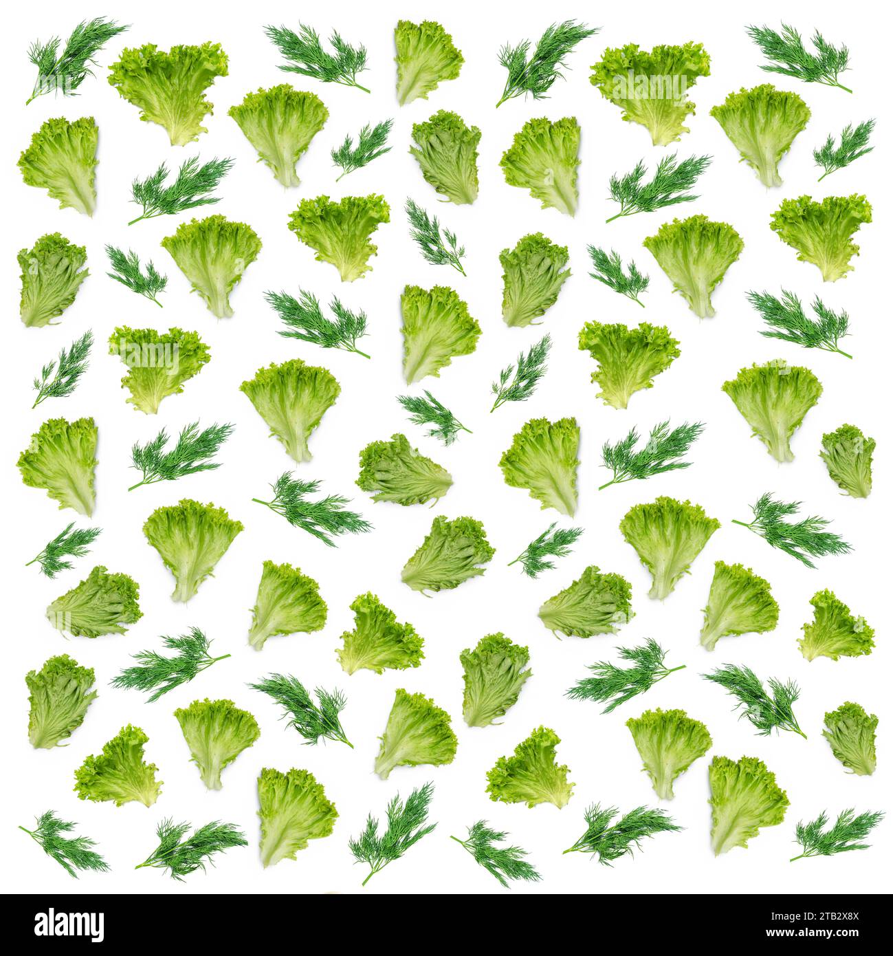 Seamless pattern of green fresh lettuce and dill on white background ...