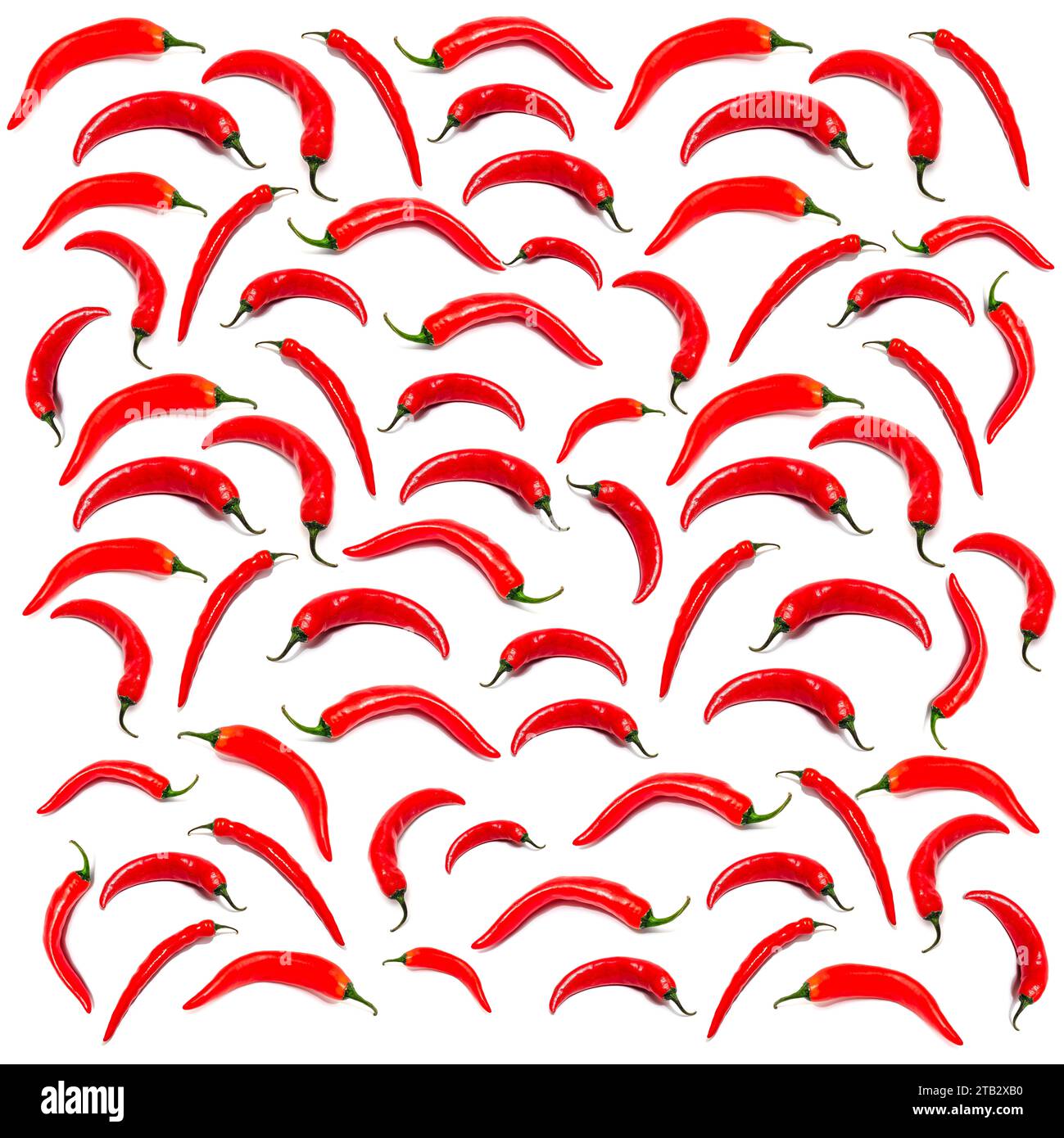 Seamless pattern hot chili pepper. Red chili pepper on white background ...